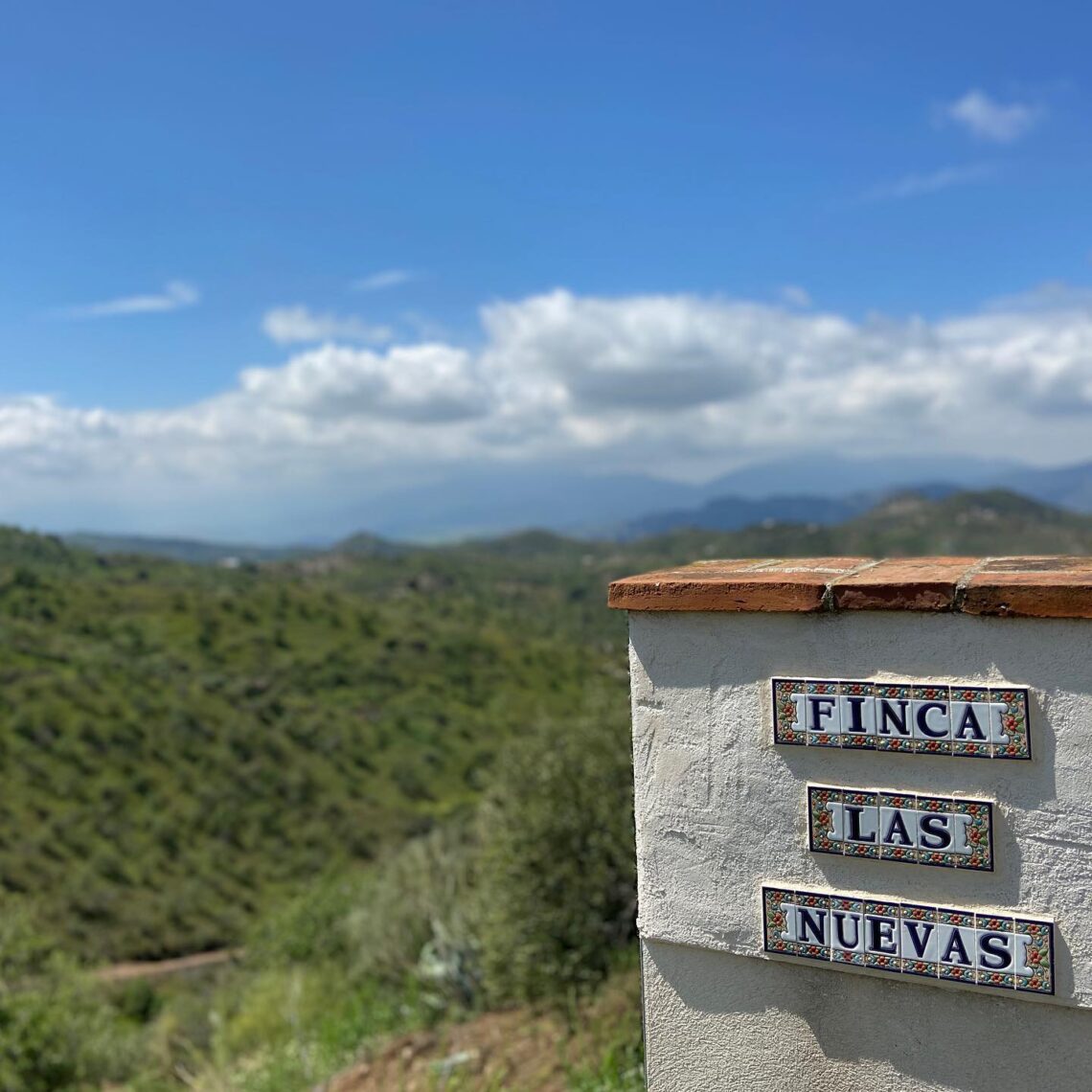 ANDALUSIË | Relax, refresh & enjoy bij Finca las Nuevas!